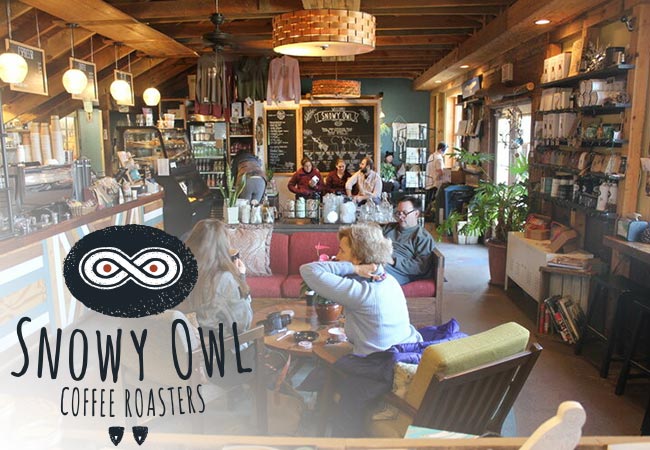 Explore Cape Cod Coffee Shops - Parsonage Inn