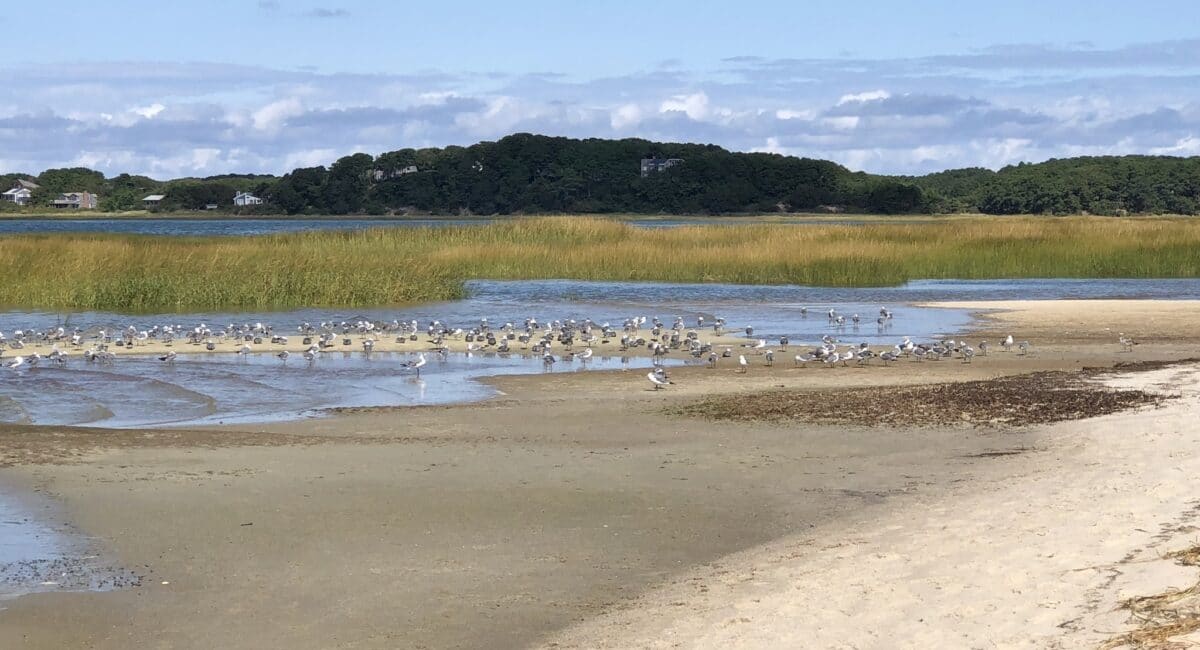 Cape Cod's best hidden gems - Parsonage Inn